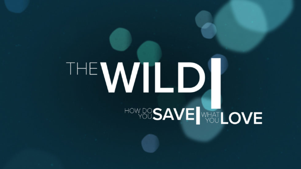 How Do You Save What You Love how-do-you-save-what-you-love