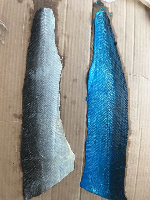 Tanning Fish Skin